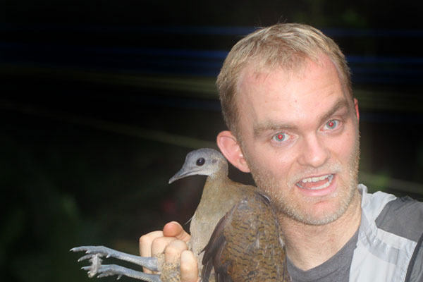 Ptáci - BIRDWATCHING